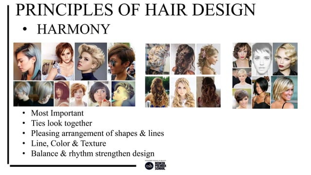 Hair design week 1 | PPTX | Hair Care | Beauty