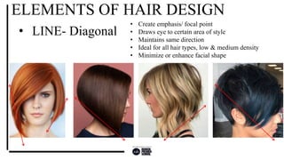 Hair design week 1 | PPTX