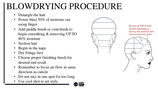 Hair design week 1
