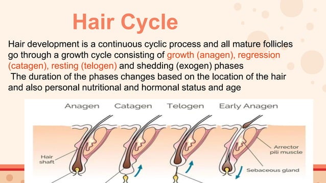 hair disorder | PPT