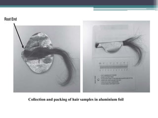 hairdruganalysisppt-200329061013.pptx