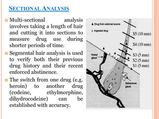 Hair drug analysis ppt | PPTX