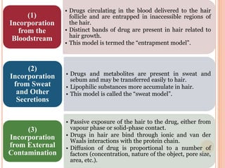 Hair drug analysis ppt | PPTX