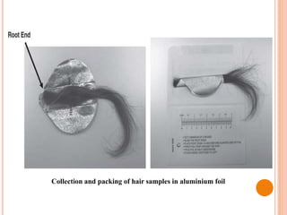 Hair drug analysis ppt | PPTX