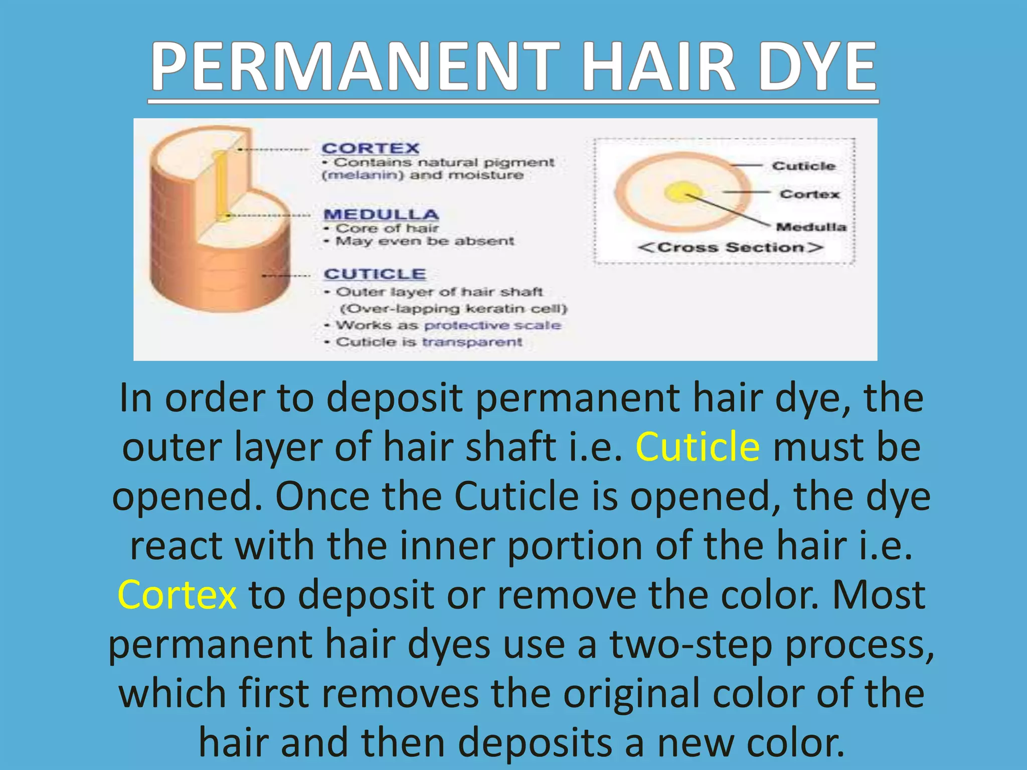Hair dye | PPTX