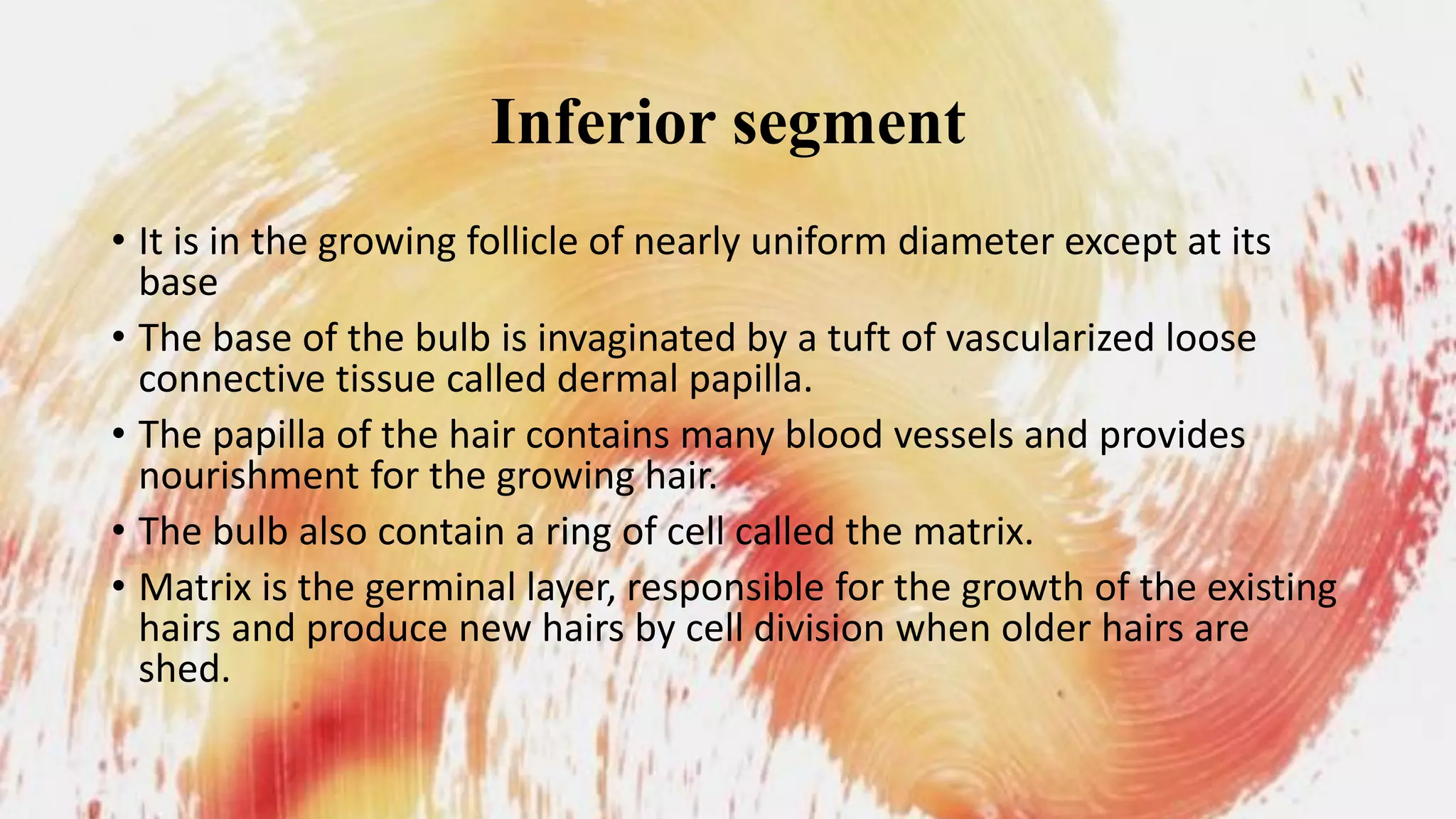 Hair dyes and colourants | PDF