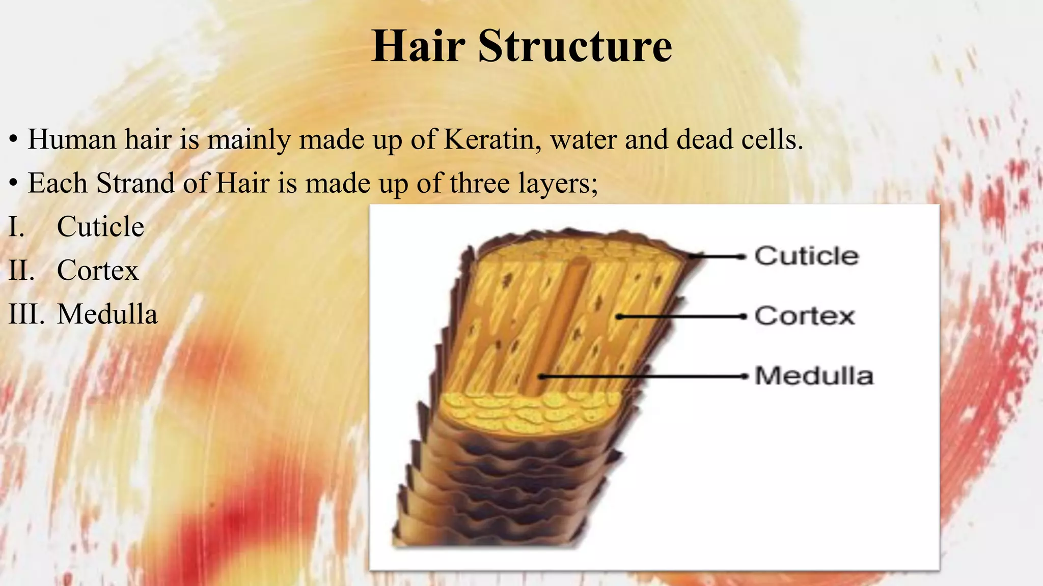 Hair dyes and colourants | PDF
