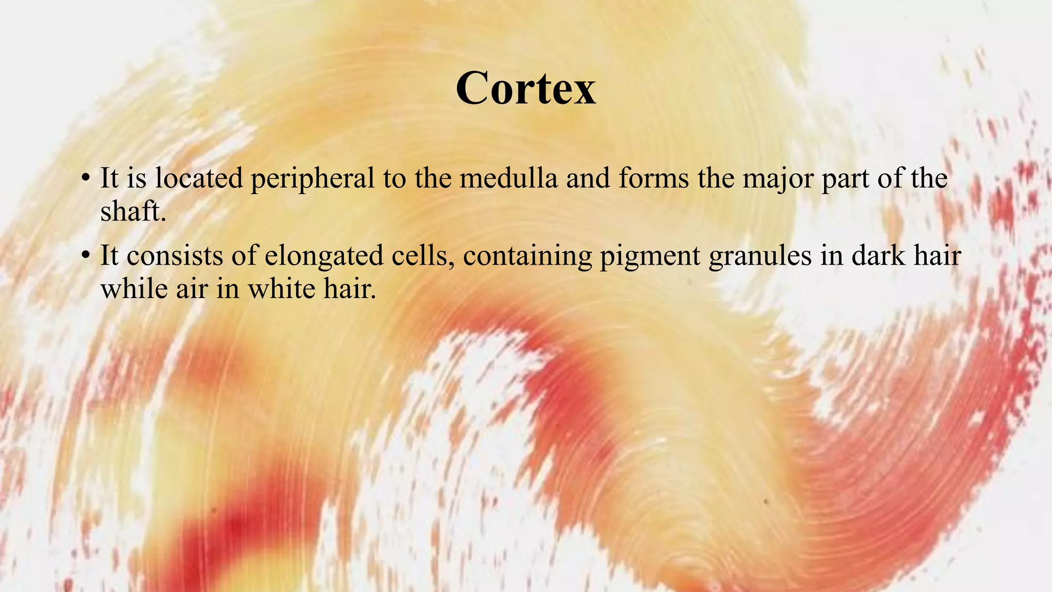 Hair dyes and colourants | PDF