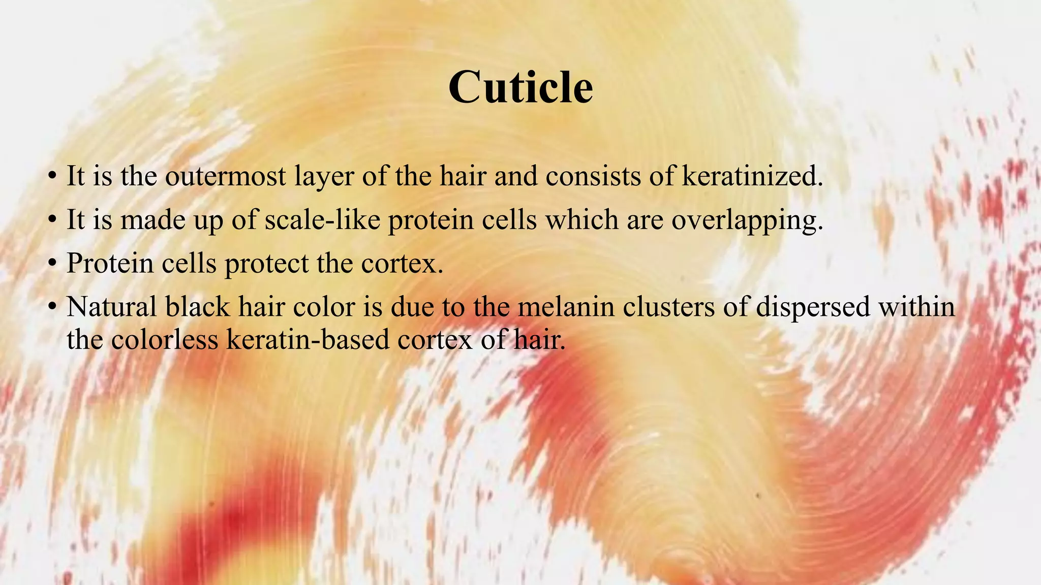 Hair dyes and colourants | PDF