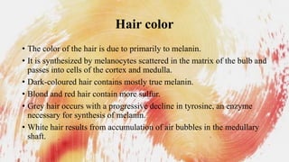 Hair dyes and colourants | PDF