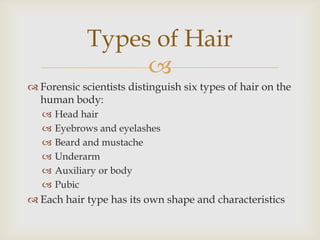 Hair evidence | PPT