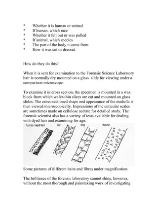 Hair&fiber | PDF