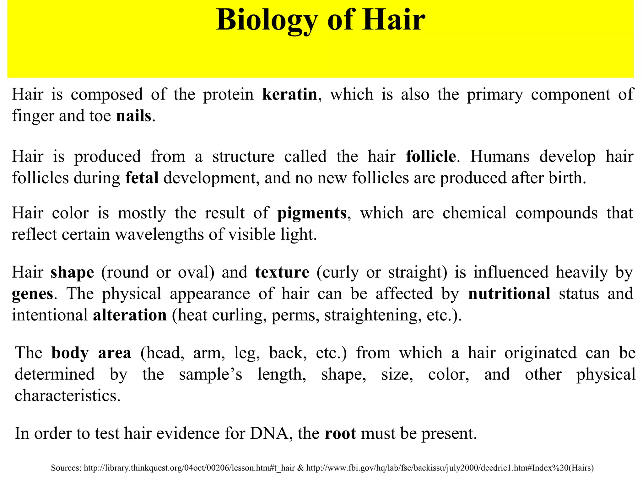 Hair fibers | PPT