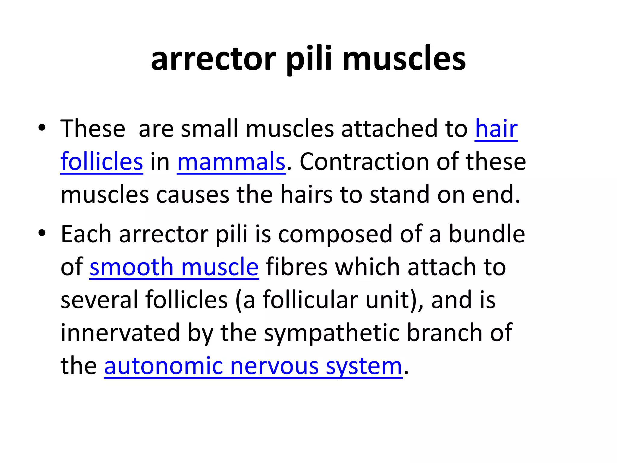 Hair follicle | PPTX