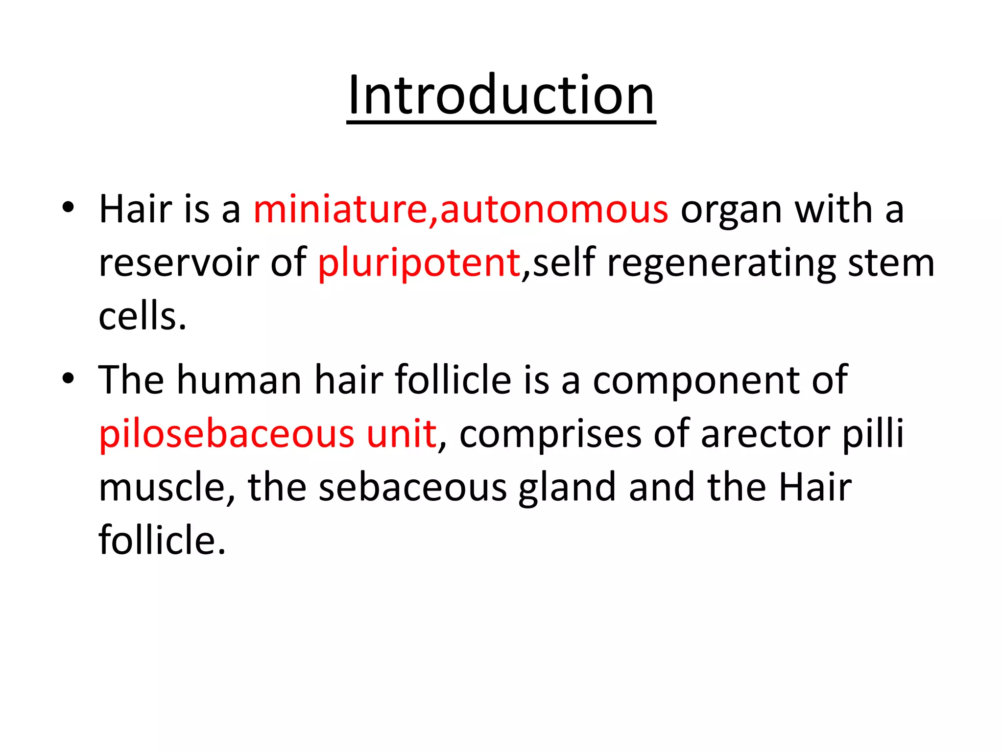 HAIR FOLLICLE.pptx