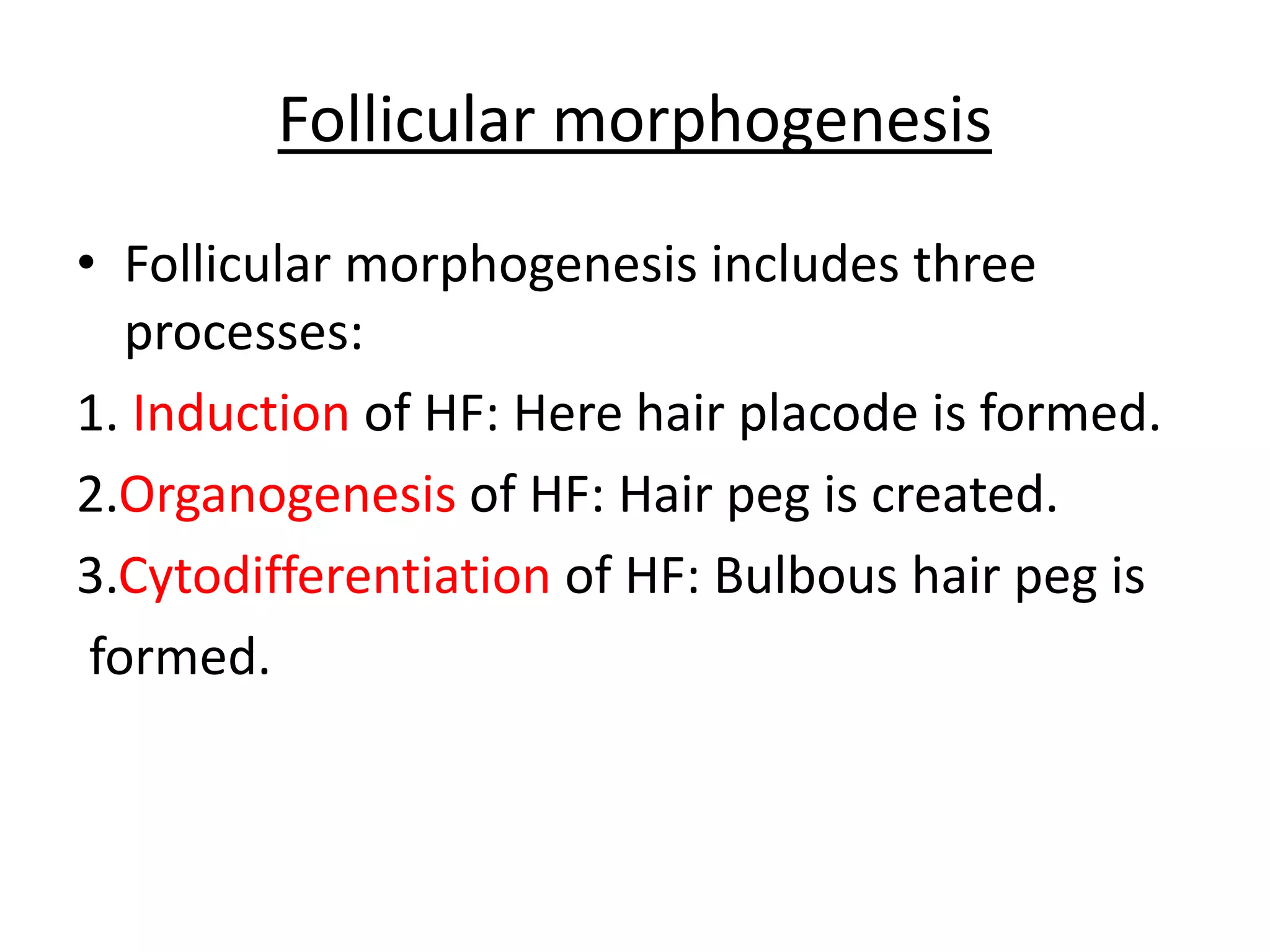 HAIR FOLLICLE.pptx