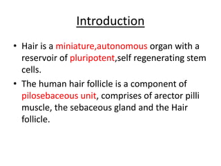 HAIR FOLLICLE.pptx