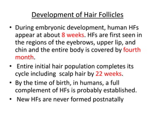 HAIR FOLLICLE.pptx