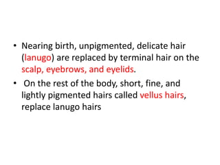 HAIR FOLLICLE.pptx