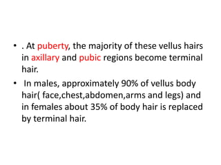 HAIR FOLLICLE.pptx