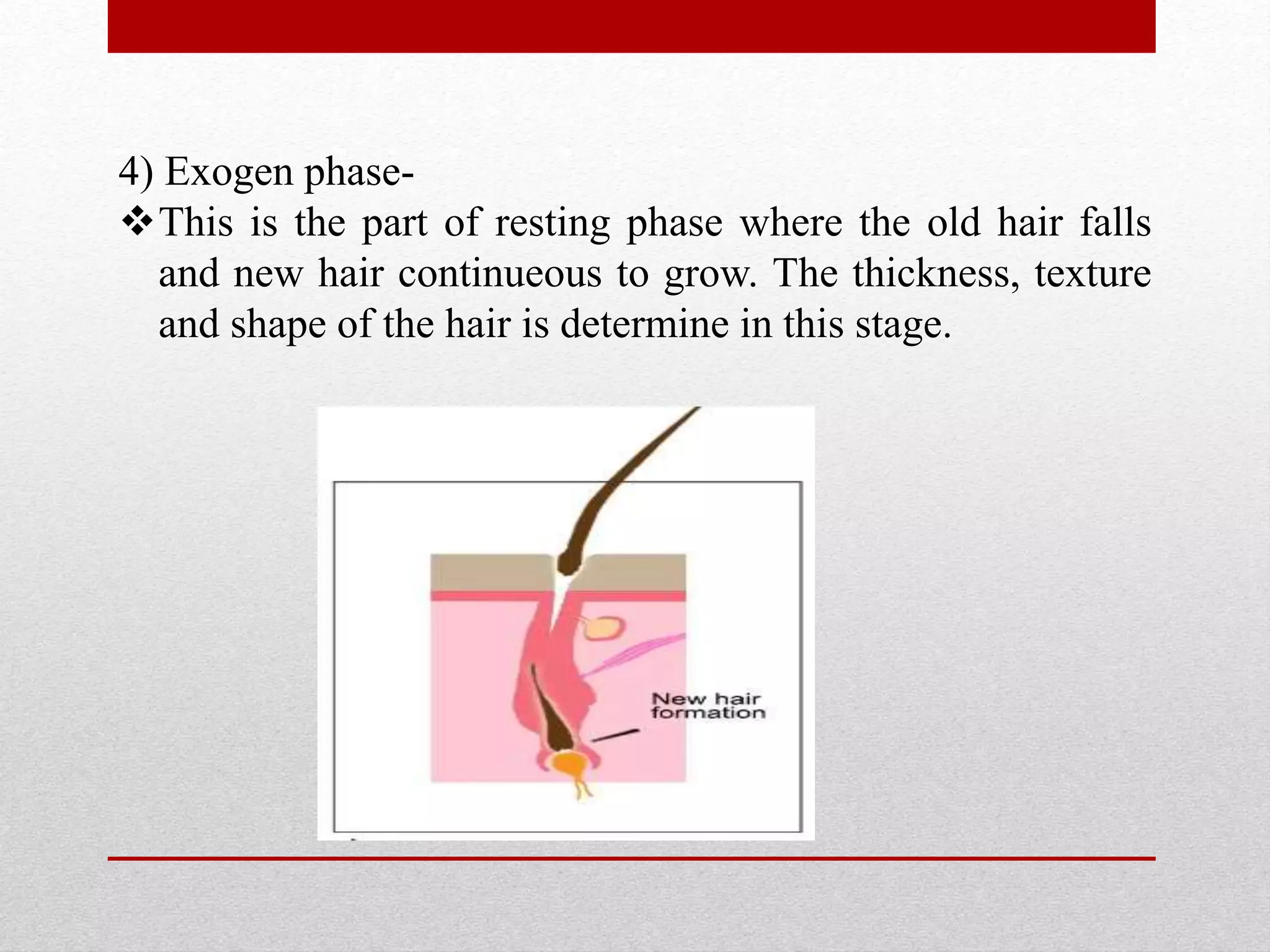 Structure of Hair and Hair growth cycle | PPTX