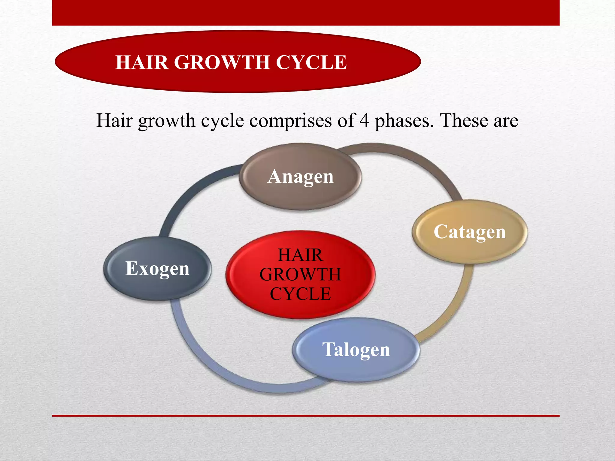 Structure of Hair and Hair growth cycle | PPTX