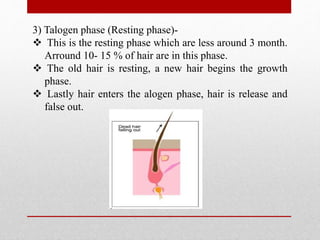Structure of Hair and Hair growth cycle | PPT
