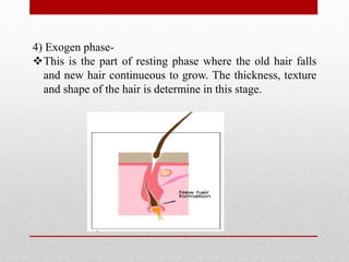 Structure of Hair and Hair growth cycle | PPT