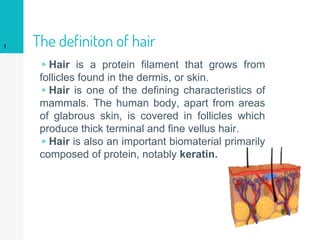 Hair growth, About Hair, Hair Cycle | PPT