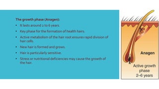 Hair growth cycle | PPTX