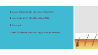 Hair growth cycle | PPT