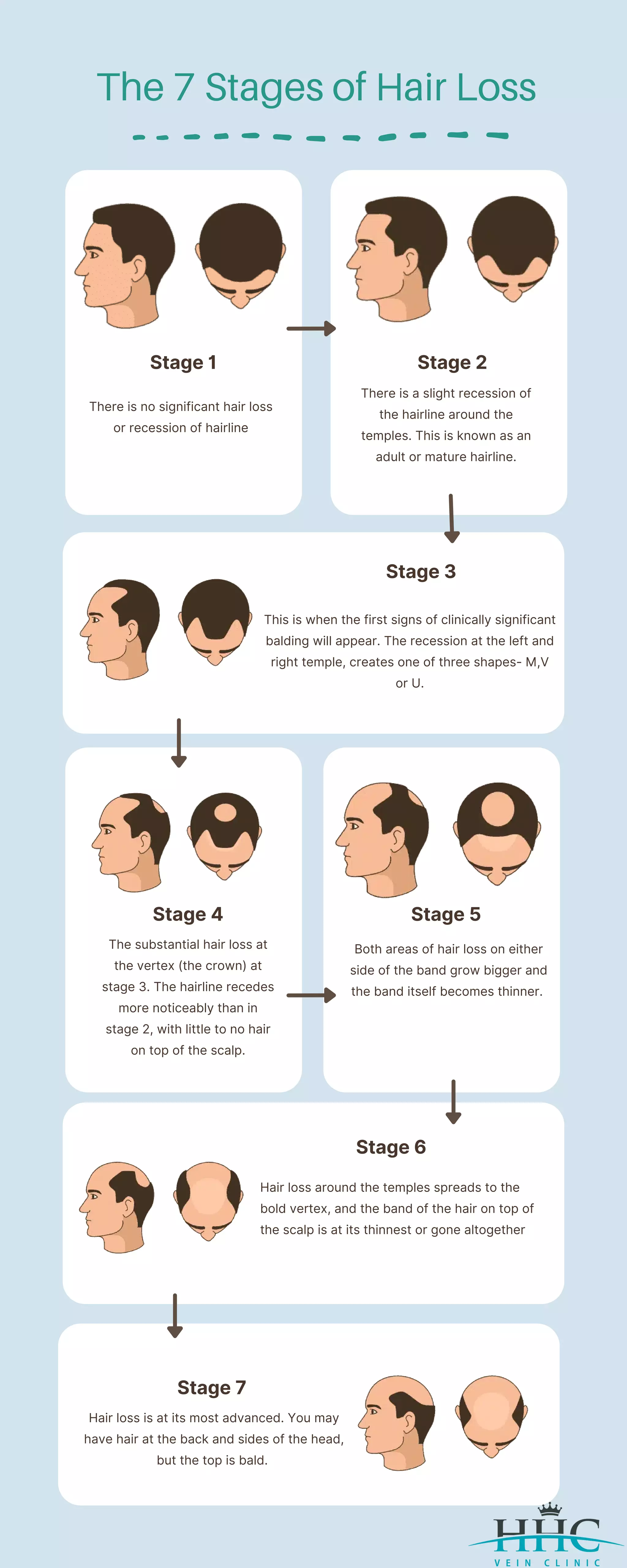 Hair loss Infographic.pdf