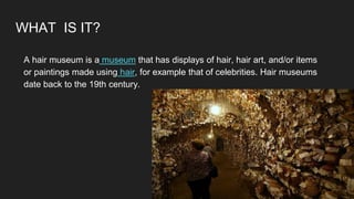 Hair museum ihara bernedo | PPTX | Hair Care | Beauty