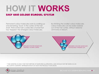HAIR NATION Corporate Presentation 2 (distributors) | PPTX