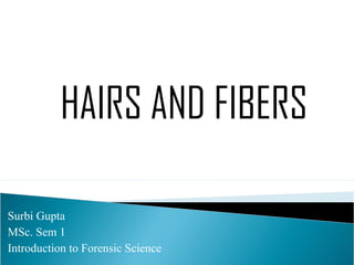 Hair and fiber | PPT