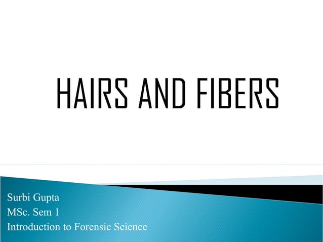 Hair And Fiber Ppt Needlework Arts And Crafts