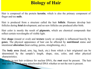 Hair and fiber | PPT