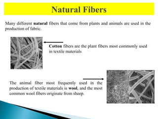 Hair and fiber | PPT