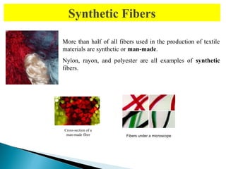 Hair and fiber | PPT