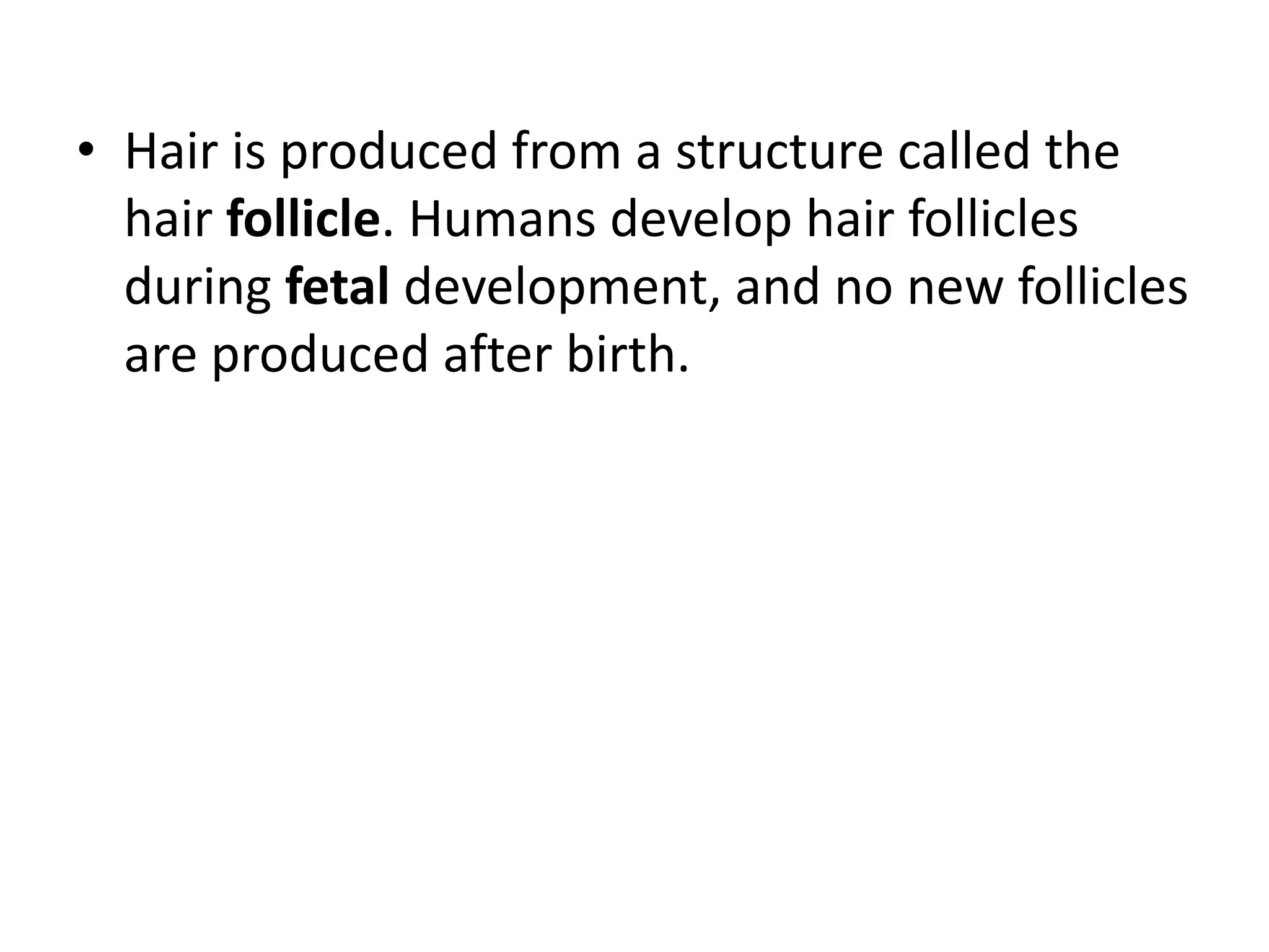 Hair And Fiber Pptx