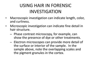 Hair and fiber | PPTX