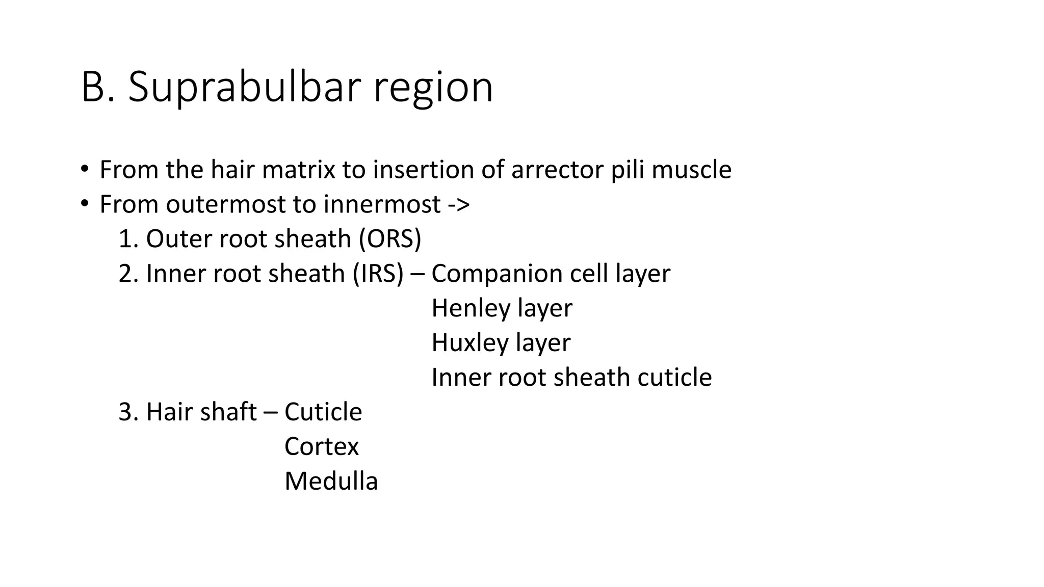 HAIR Anatomy- Basic structure and function.pptx