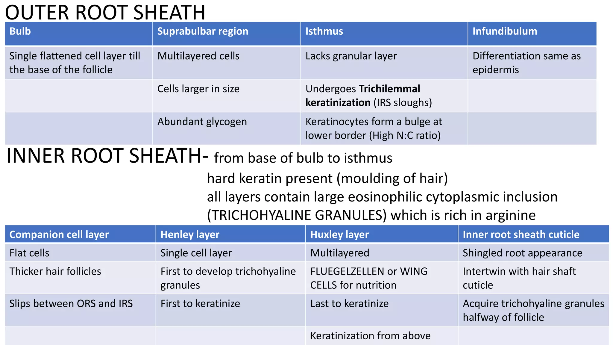 HAIR Anatomy- Basic structure and function.pptx