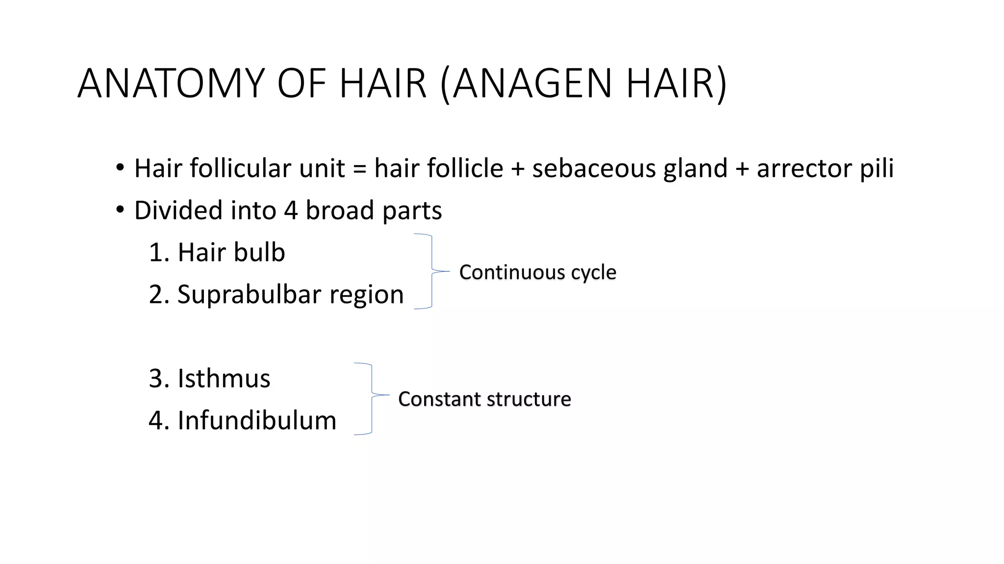 HAIR Anatomy- Basic structure and function.pptx