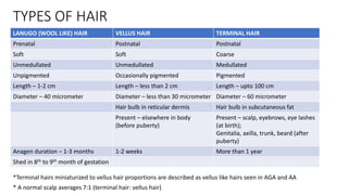 HAIR Anatomy- Basic structure and function.pptx