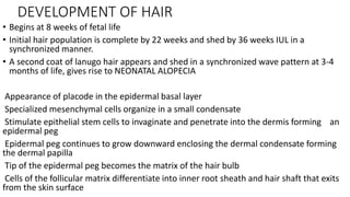 HAIR Anatomy- Basic structure and function.pptx