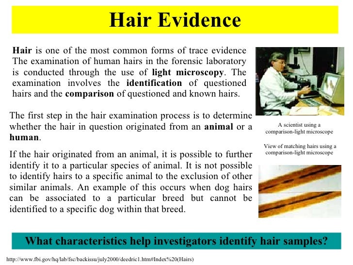 Forensic Hair Examination