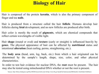 Hair and Fibers | PPT