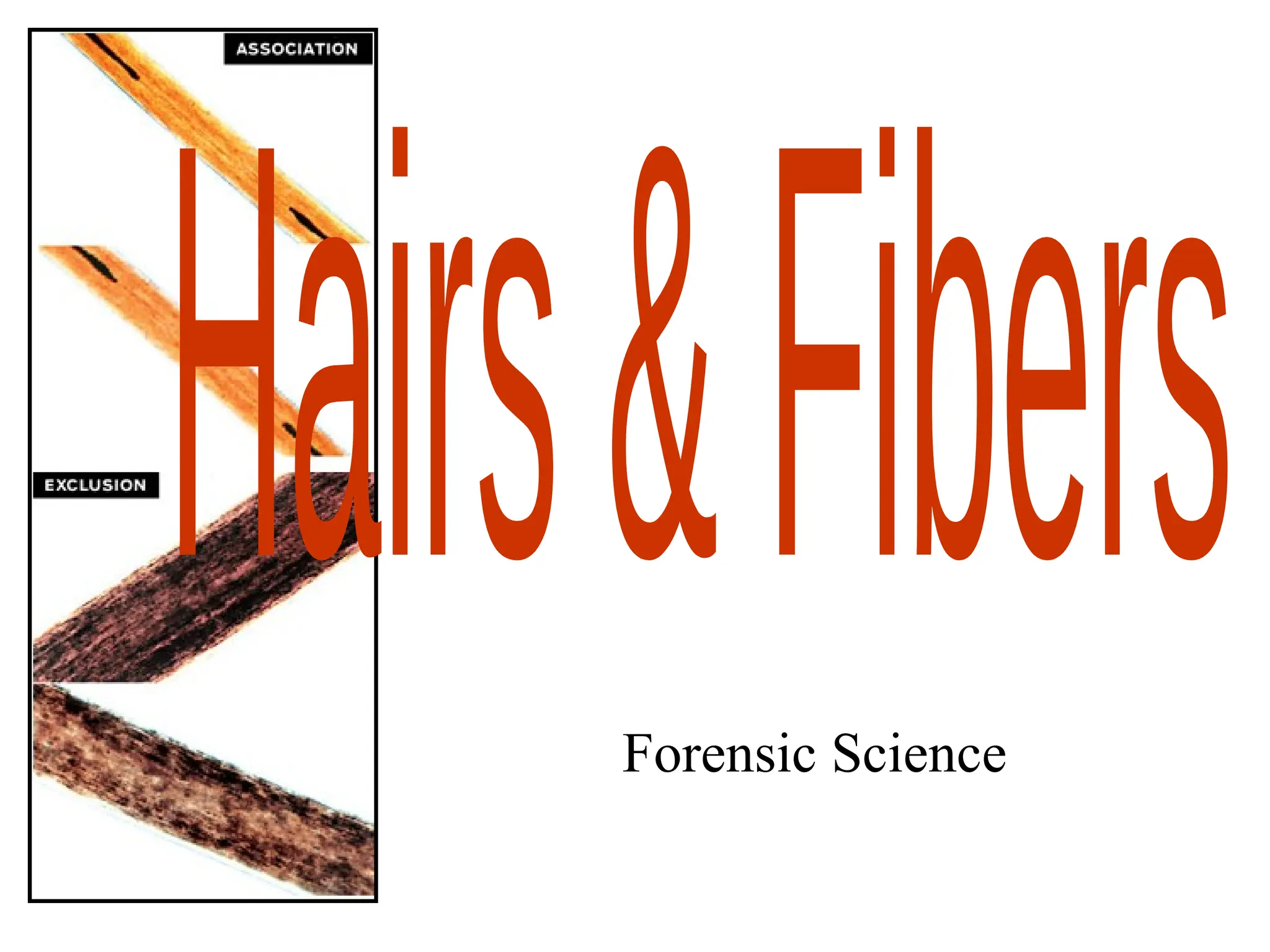 Hair and fiber analysis is an important forensic technique that helps ...
