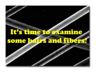 Hair and fiber analysis is an important forensic technique that helps ...